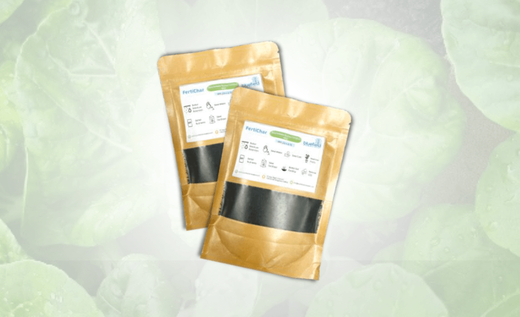 Projects - Bluefield